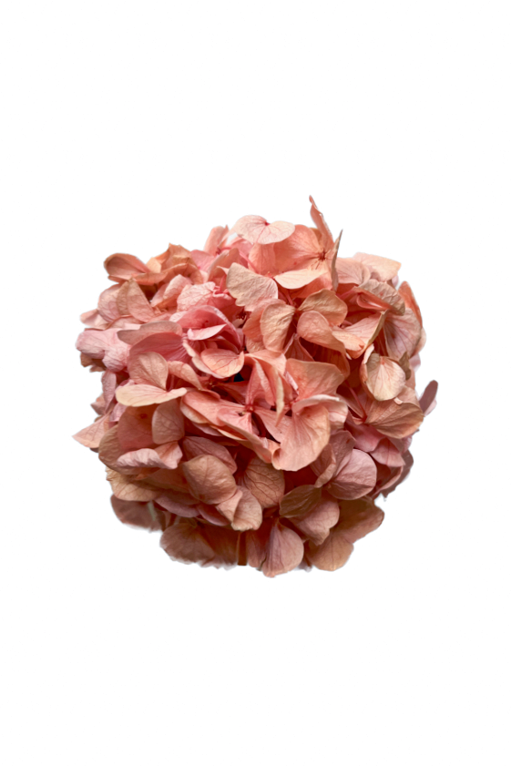 Natural Flower | Pink – B.A.G. by Blanca Astolfi